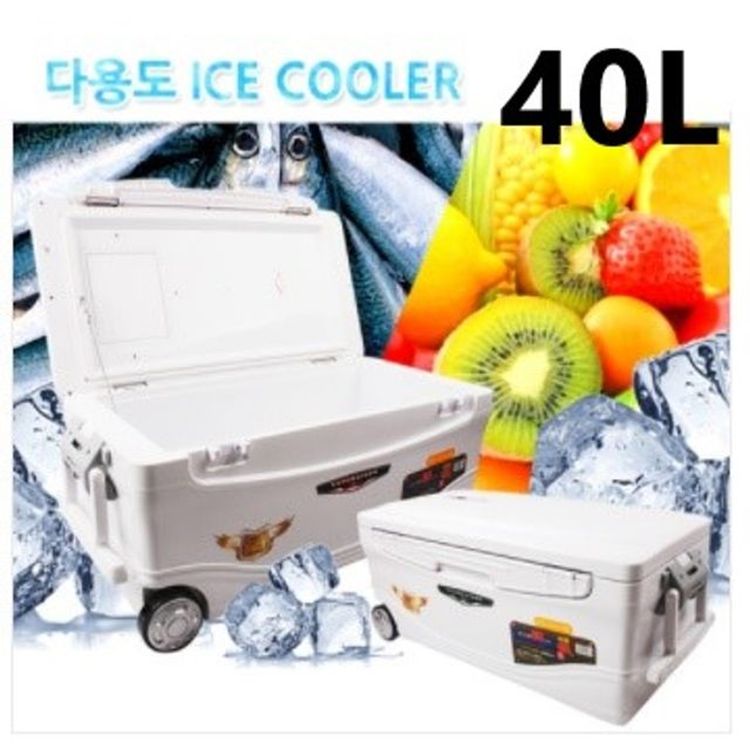 낚시 레져 캠핑 쿨백 아이스박스 아이스쿨러 40l 홈플러스 택배배송