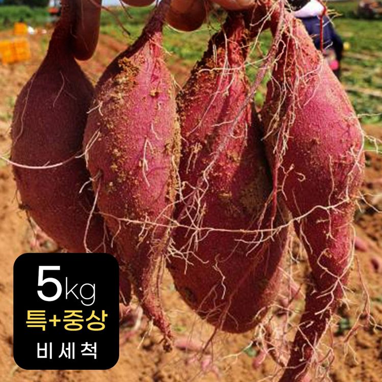 해남 햇 꿀고구마 베니하루카 제철간식 산지 직배송 특중상 혼합5kg비세척 홈플러스 택배배송