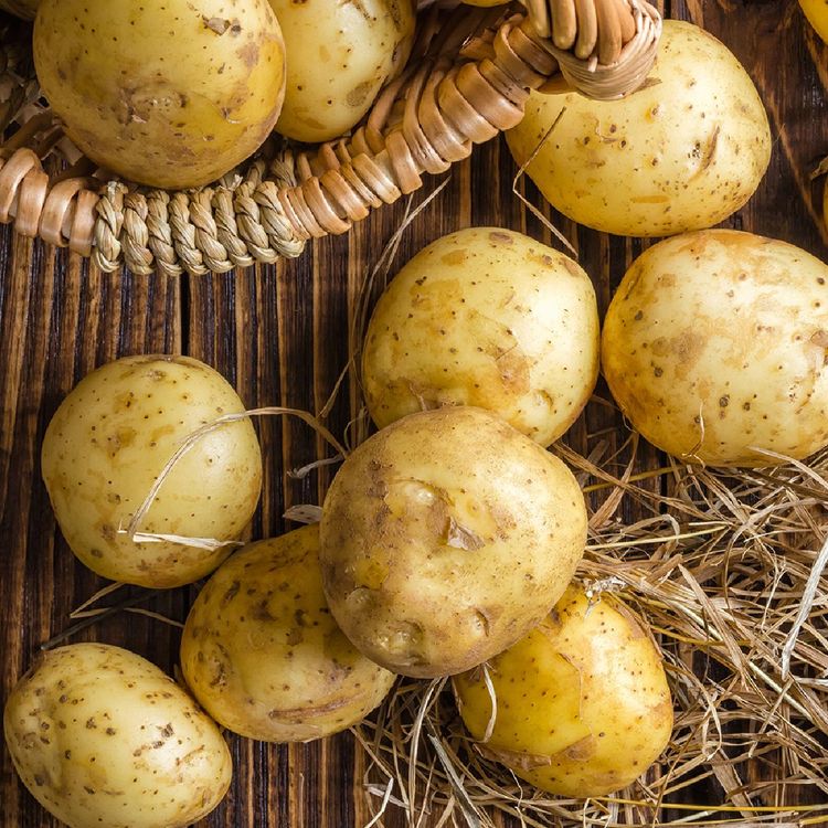 국내산 햇 수미감자 소(40g 미만) 3kg | 홈플러스 택배배송