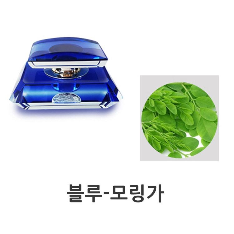 디퓨저 크리스탈방향제 블루 모링가 향수 자동차탈취 홈플러스 택배배송