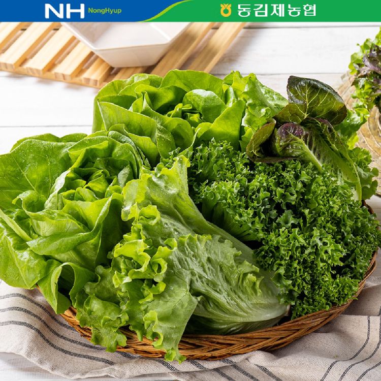 [GAP 인증] 국내산 유러피안 샐러드 채소1kg(4종) | 홈플러스 판매자택배