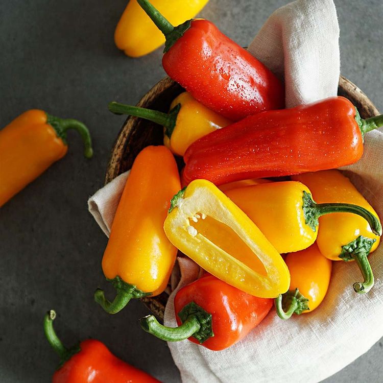 국내산 미니 파프리카 혼합 1kg(250g*4팩) | 홈플러스 택배배송