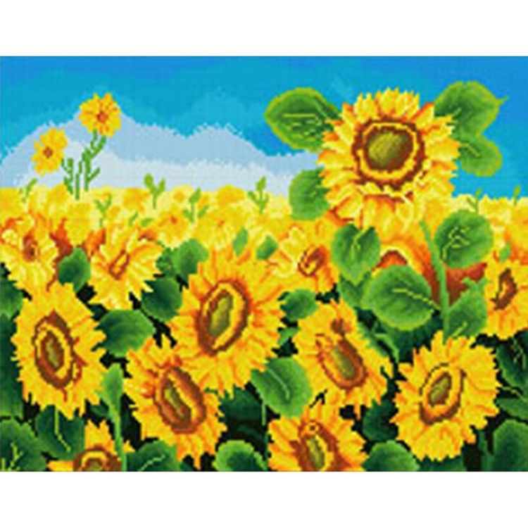 해바라기의 향연 캔버스 보석십자수 40x50 홈플러스 택배배송