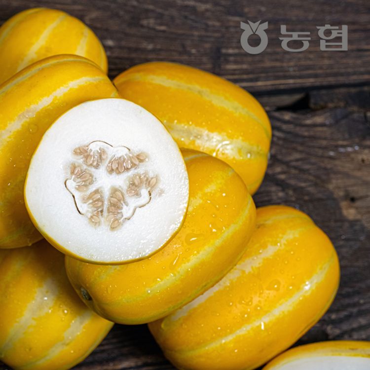 월항농협산지직송 21년 성주 월항 꿀 참외 5kg 홈플러스 택배배송
