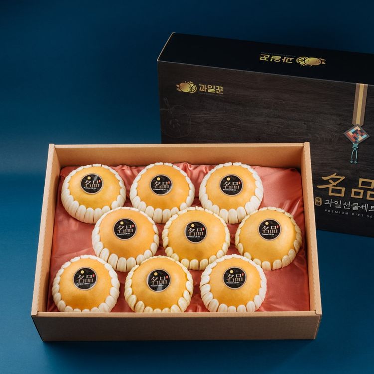 2022설 남도장터 과일꾼 나주배 선물세트 75kg 9 10과 홈플러스 택배배송