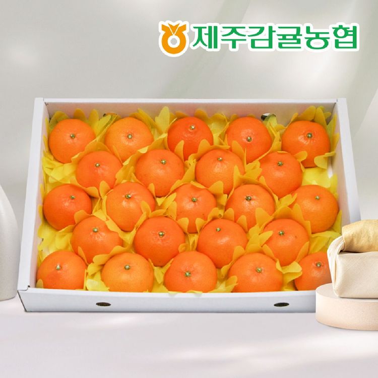 제주바람 제주농협 직송 천혜향 선물세트 5kg13~20과 홈플러스 택배배송