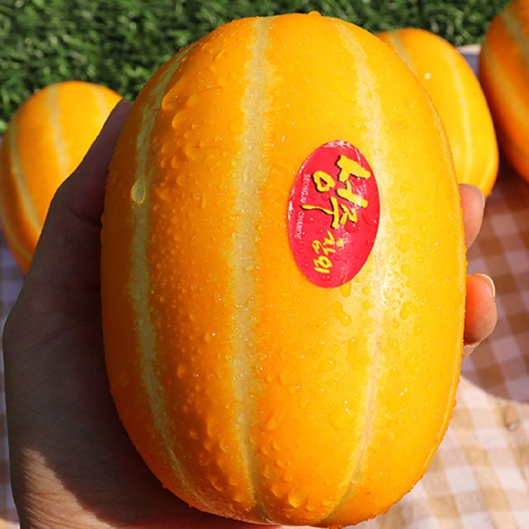 성주 참외 2kg 로열과 홈플러스 택배배송