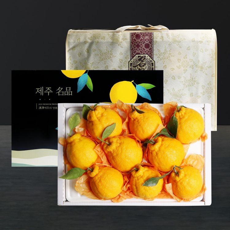 오롯제주 제주 한라봉 선물세트 25kg 대과6~10과 홈플러스 택배배송
