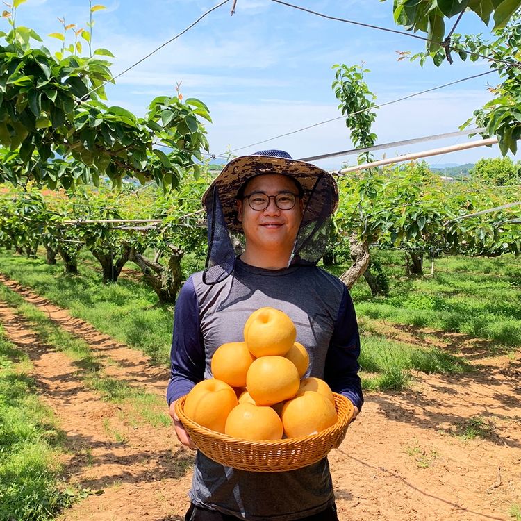 [GAP]나주배 선물세트 7.5kg (8-10과) | 홈플러스 택배배송