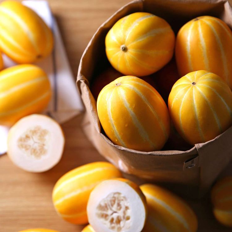 성주 참외 달콤함이 가득한 꿀 참외 3kg내외10 14과 홈플러스 택배배송