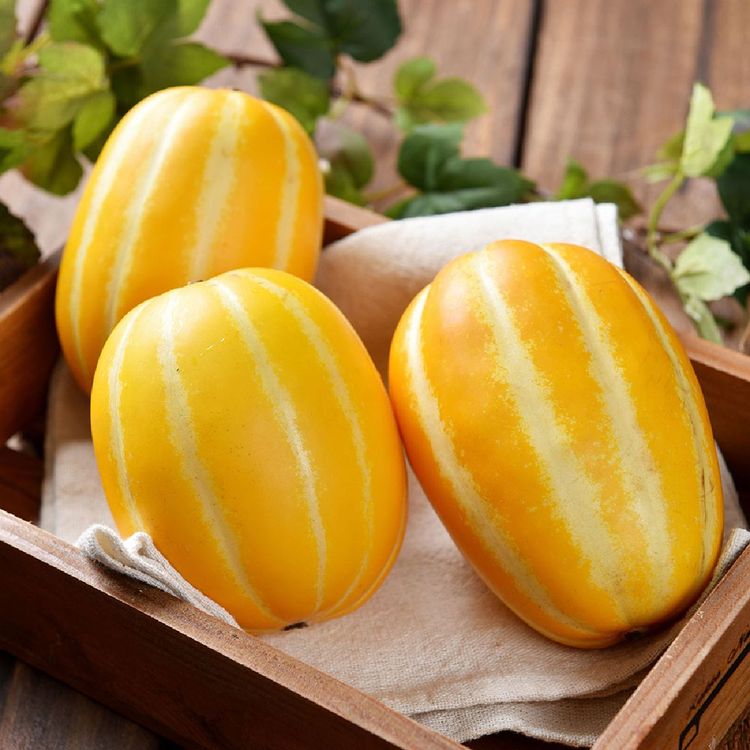 자연예서 성주 참외 가정용 2kg 14~16과내외 고당도 홈플러스 택배배송