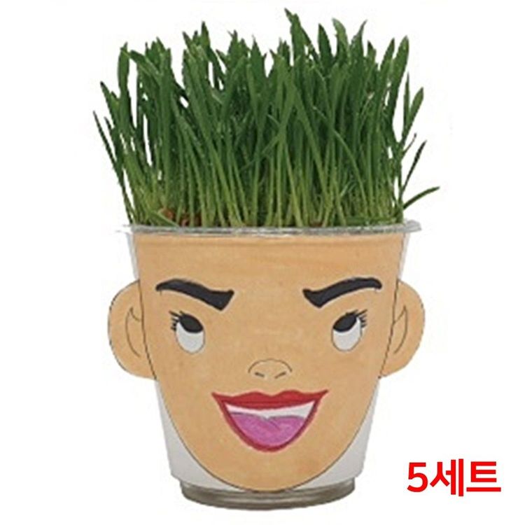 뿌리관찰 새싹보리재배기 창작얼굴꾸미기 5세트 홈플러스 택배배송