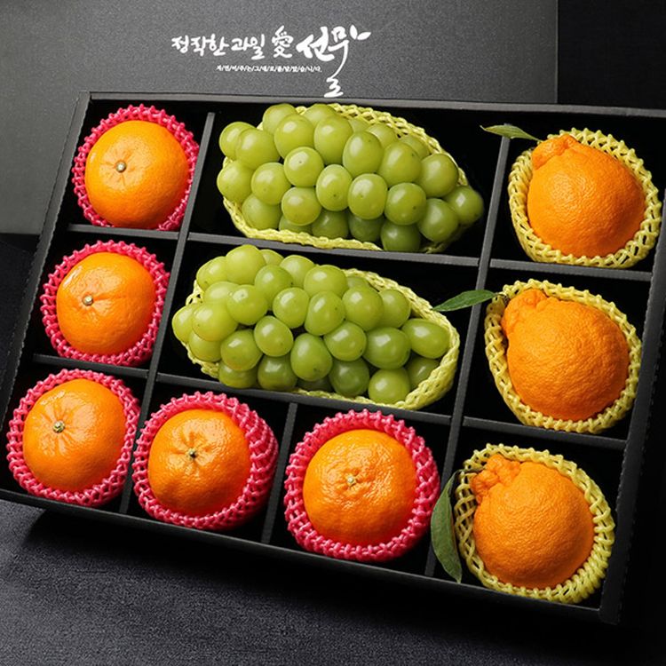 과일愛 혼합 선물세트 특33호 샤인머스캣한라봉천혜향 외 1종 홈플러스 택배배송