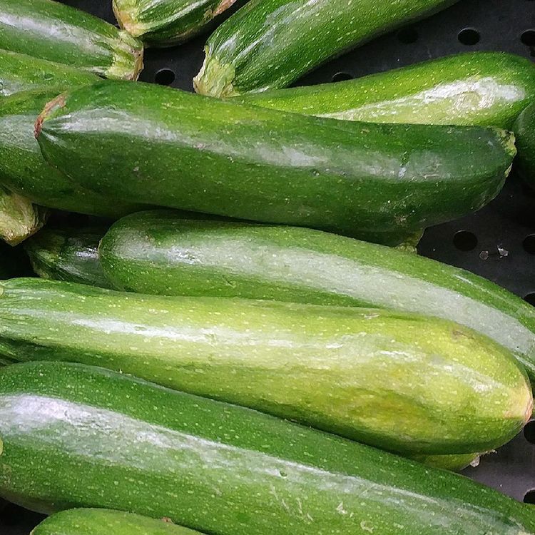 알뜰 국산 못난이 쥬키니 호박 2kg 6~10개 못난이호박 주키니 호박 한박스 돼지호박 생 홈플러스 택배배송