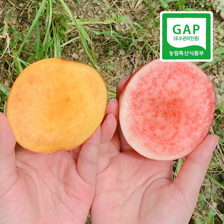경북김천 GAP인증 고당도 말랑이 백도 복숭아 3kg 대과 (12~14과) | 홈플러스 택배배송