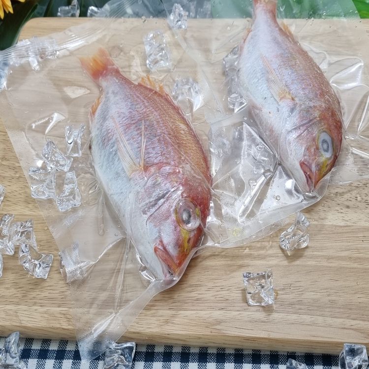 제주 제주도 수산물 황돔 중 2팩1팩 4마리 2 무릉외갓집 홈플러스 택배배송