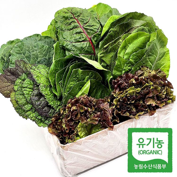 산지직송당일수확 유기농 모듬 쌈채소 5 8종 600g 홈플러스 택배배송