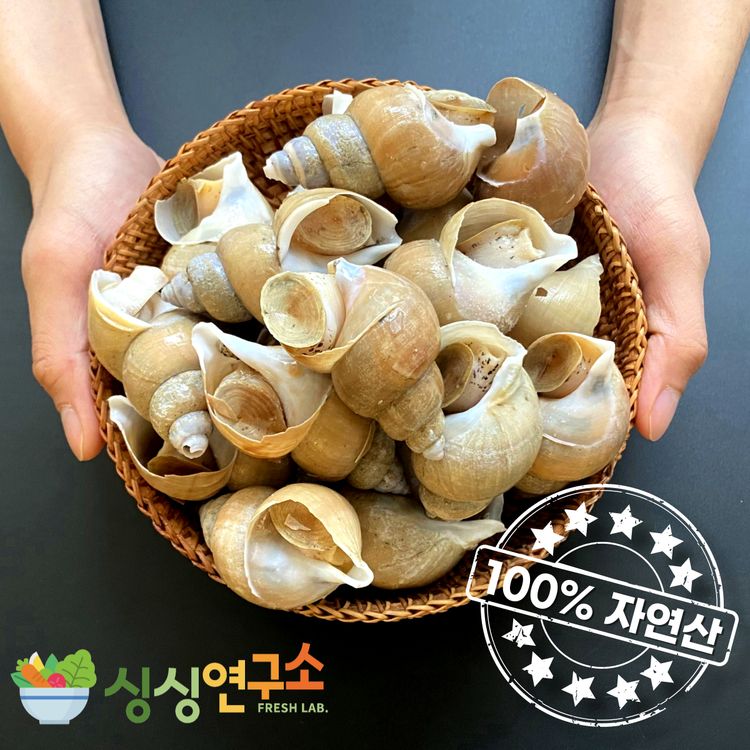 로얄 등급 100 자연산 구룡포 활 백골뱅이 대 1kg 백고동 홈플러스 택배배송