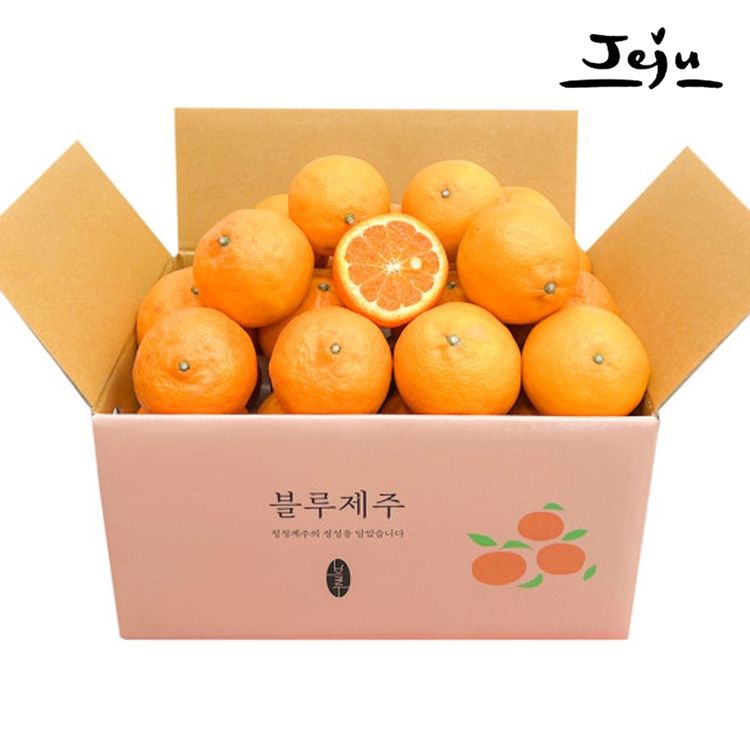 제주직송 남진해귤로향 2kg 중과 가정용 11 14과 홈플러스 택배배송