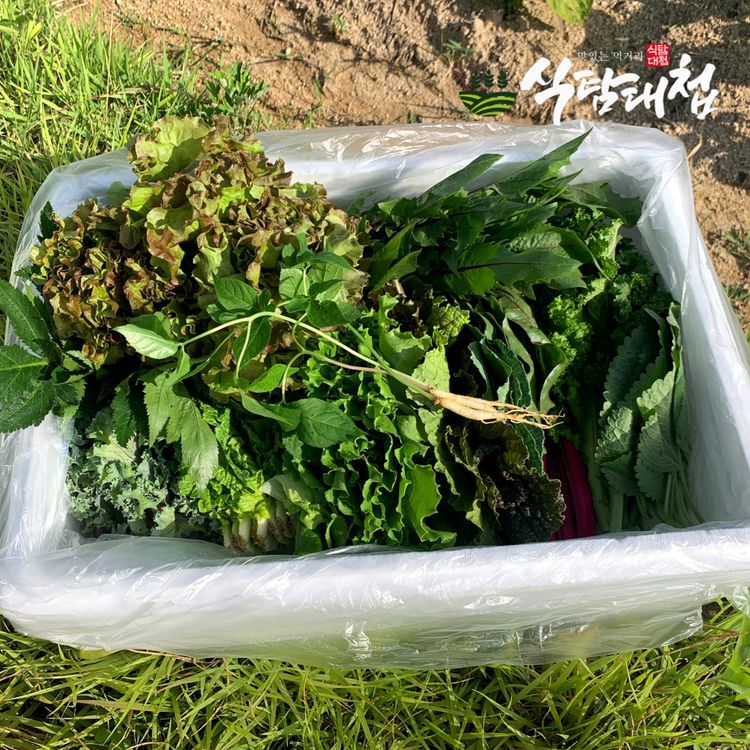 식탐대첩 신선농부들 프리미엄 쌈채소 1kg 홈플러스 택배배송