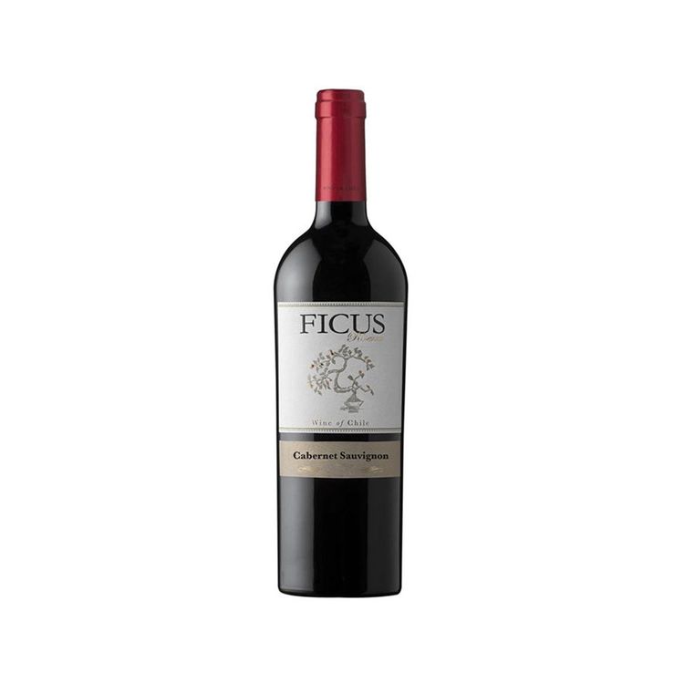 피쿠스 리제르바 까베르네소비뇽 750ml 홈플러스