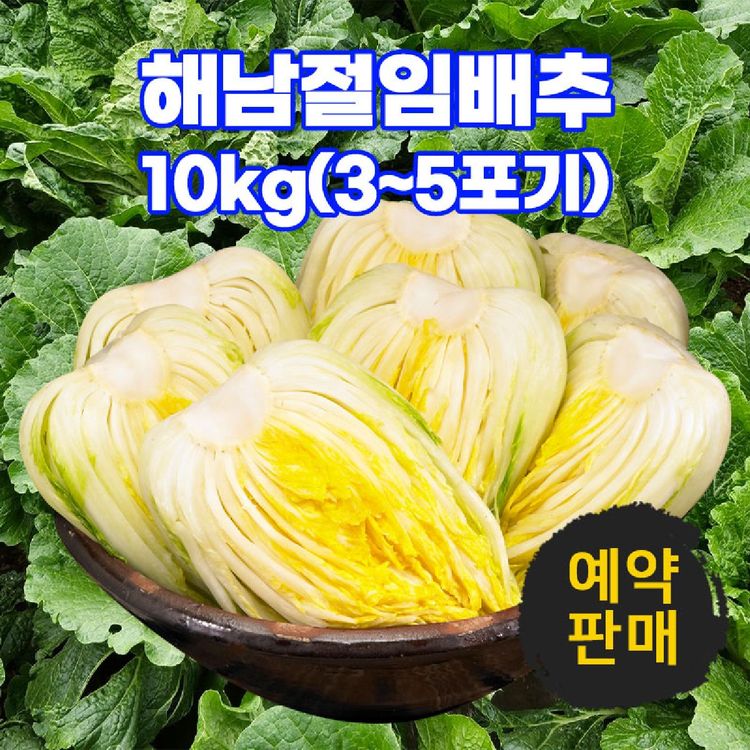 산지직송 해남 절임배추 땅끝 황토 절인배추 김장김치 10kg3~4포기 홈플러스 판매자택배