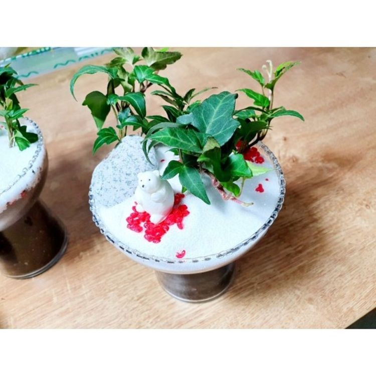 테라리움 아이비 화분 3인용토끼 홈플러스 택배배송