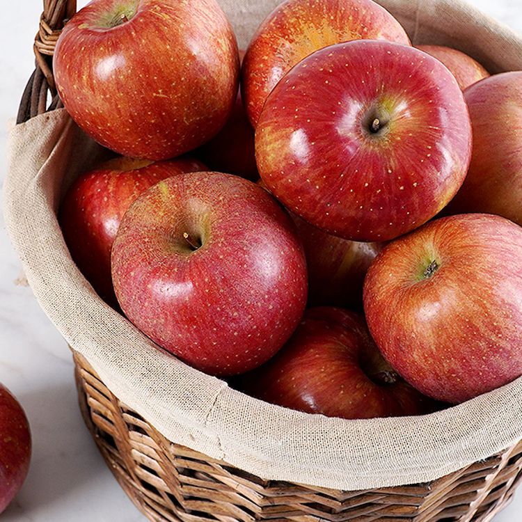부사 사과 정품 3kg 8-10과 | 홈플러스 택배배송
