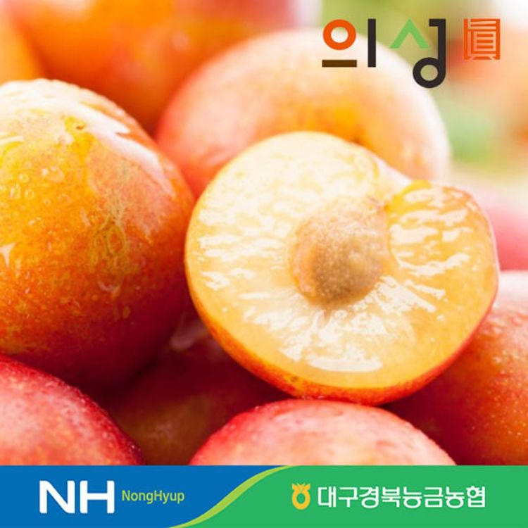 대구경북능금농협산지직송 대석자두 2kg 25~32과 개당 61~80g 홈플러스 택배배송