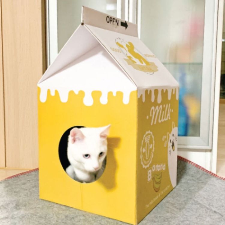 고양이 숨숨집 우유상자 스크래쳐 하우스바나나우유 홈플러스 택배배송