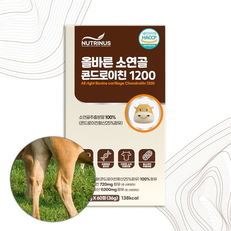 뉴트리 소 연골 콘드로이친 추출물 1200 영양제 60정 홈플러스 택배배송