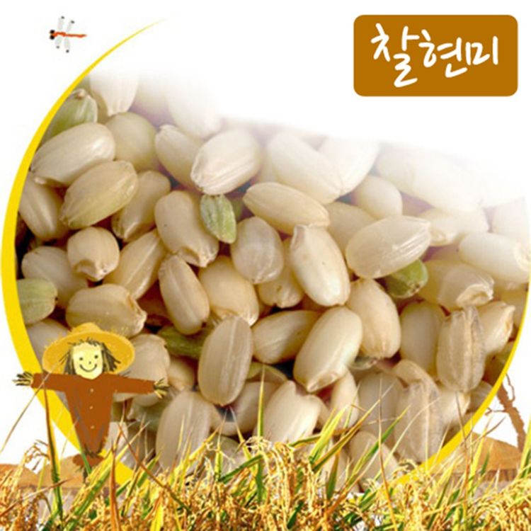 참다올 전남 도시농부 찰현미 3kg 홈플러스 택배배송