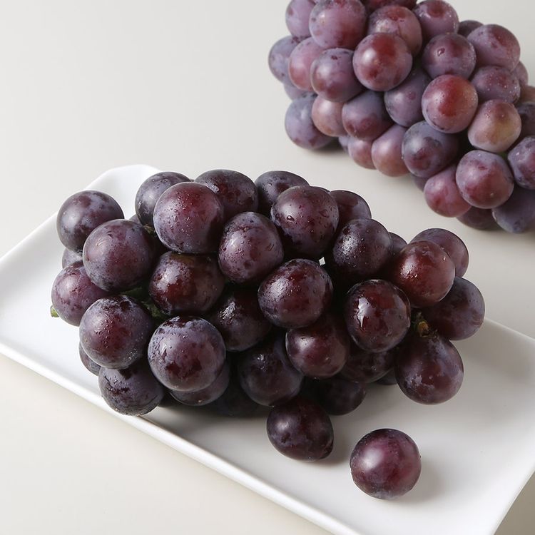 15Brix 거봉포도 2-3송이(박스) | 홈플러스