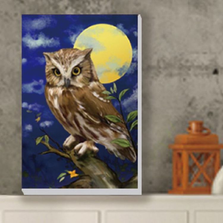 부엉이 N82925f0bb0 그림 풍수 목련 꽃 복 액자 그림드림 2owl P6c 홈플러스 택배배송