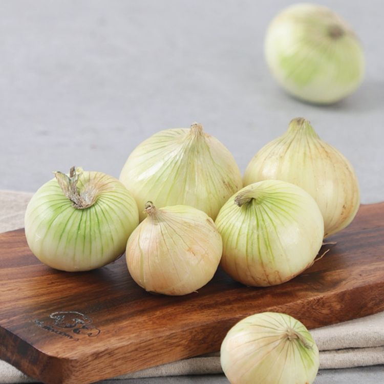 산지직송 전라도 햇 흰양파 3kg소장아찌용 개당 40 100g 홈플러스 택배배송