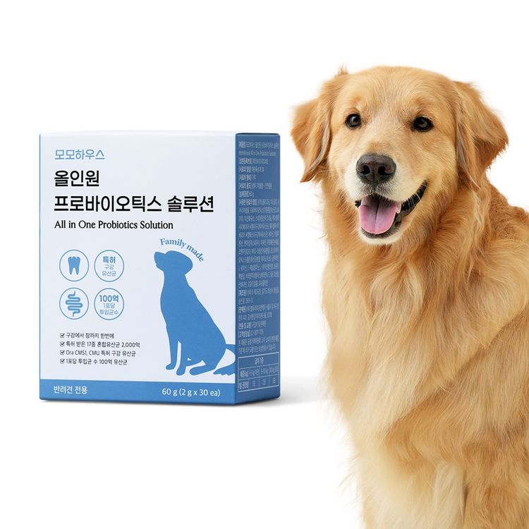 모모하우스 올인원 프로바이오틱스 솔루션 1박스 구강 유산균 강아지 면연력 영양제 홈플러스 택배배송