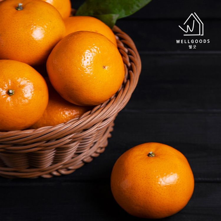 [산지직송] 제주 당도선별 타이벡 감귤 9kg(중대과,L-2L) | 홈플러스 택배배송