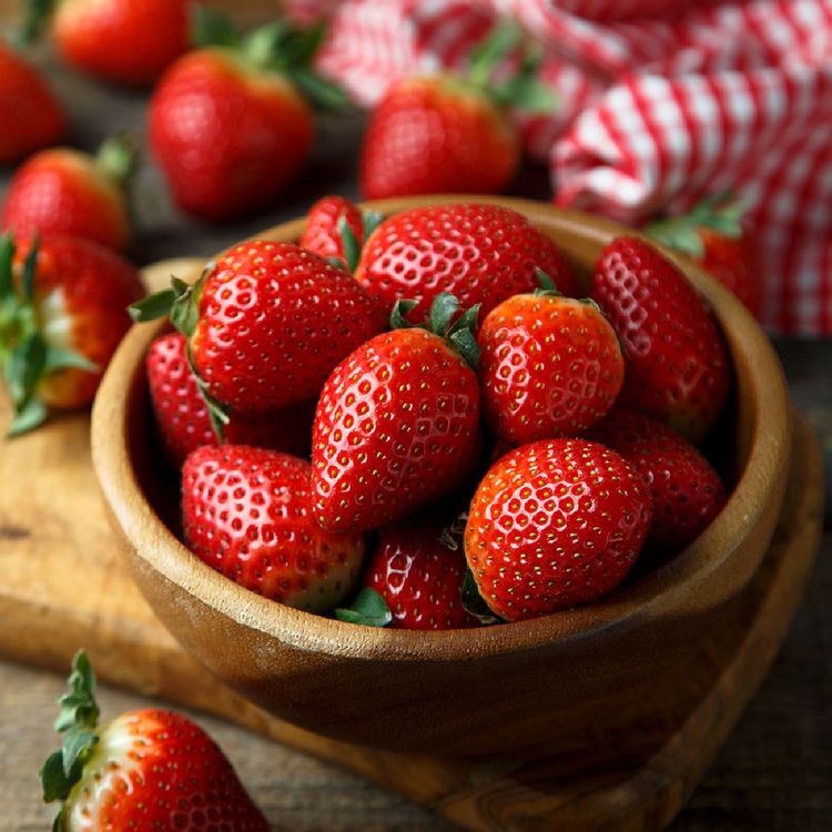 생 딸기 비타베리 750g(20-30과내외) 특 | 홈플러스 택배배송