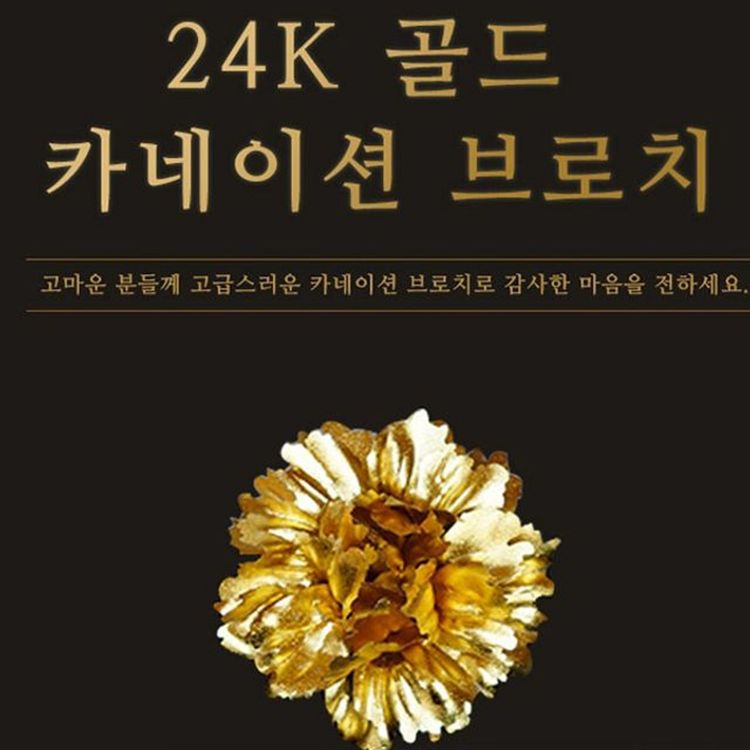 Dk Sj 실용적인 N6213a3ac8e 골드 카네이션브로치 홈플러스 택배배송