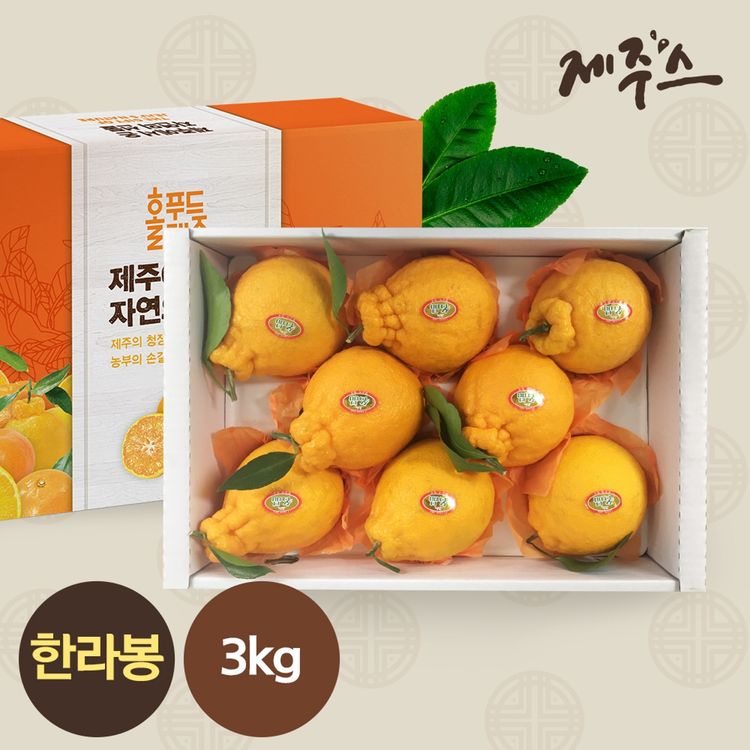 제주직송 제주스 한라봉 선물세트 3kg 6 12과 1박스 홈플러스 택배배송