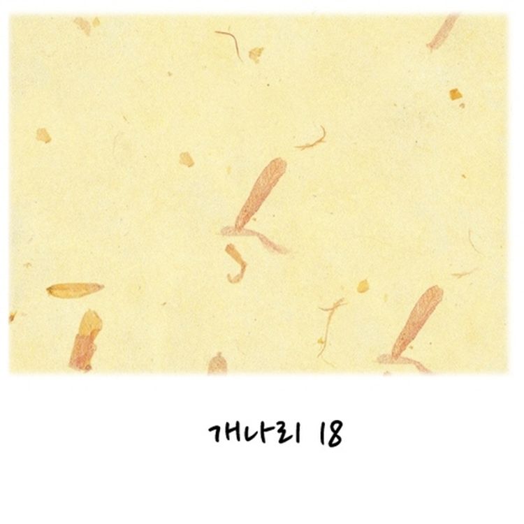 9108570 한지 봉투 10매 18번 개나리 홈플러스 택배배송