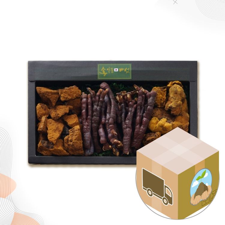 송일품 상황 녹각영지 차가 버섯 건재 세트 350g 홈플러스 택배배송