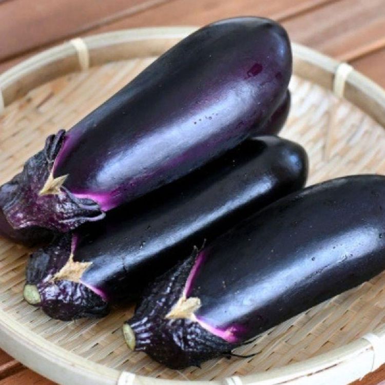 알뜰 국산 못난이 가지 1kg 생 가지 한박스 보라색채소 보라색야채 어글리채소 못난이야채 홈플러스 택배배송
