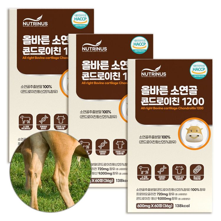 뉴트리 소 연골 콘드로이친 추출물 1200 영양제 180정 홈플러스 택배배송