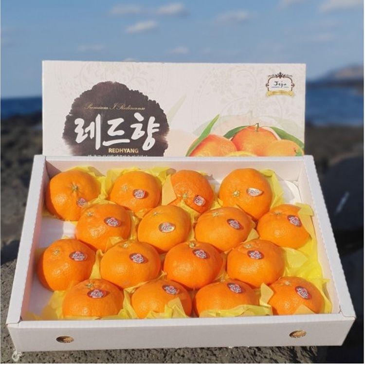 산지직송 한경농협 제주 레드향 선물세트 3kg중and대과9 13과 홈플러스 택배배송