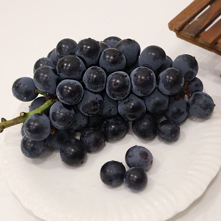 캠벨 1kg 고당도 영동 포도 산지직송 당일수확 홈플러스 택배배송