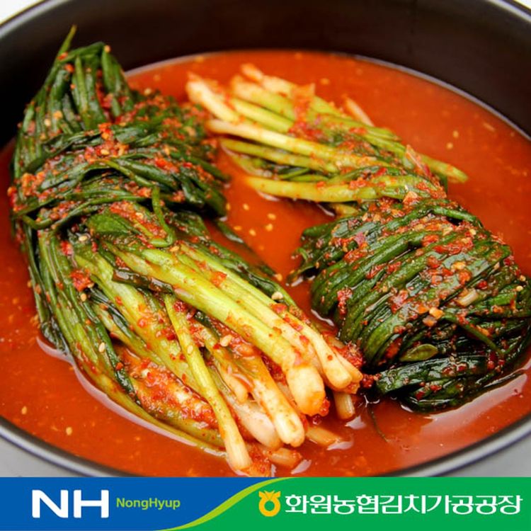 전라도 해남 화원농협 파김치 1kg 100 국산 농산물 파김치 홈플러스 택배배송
