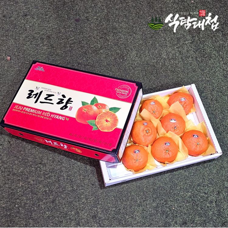 제주 프리미엄 레드향 선물세트 3kg 9 12과 홈플러스 택배배송