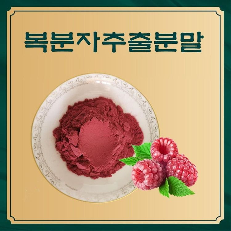 복분자추출 분말 50g 홈플러스 택배배송