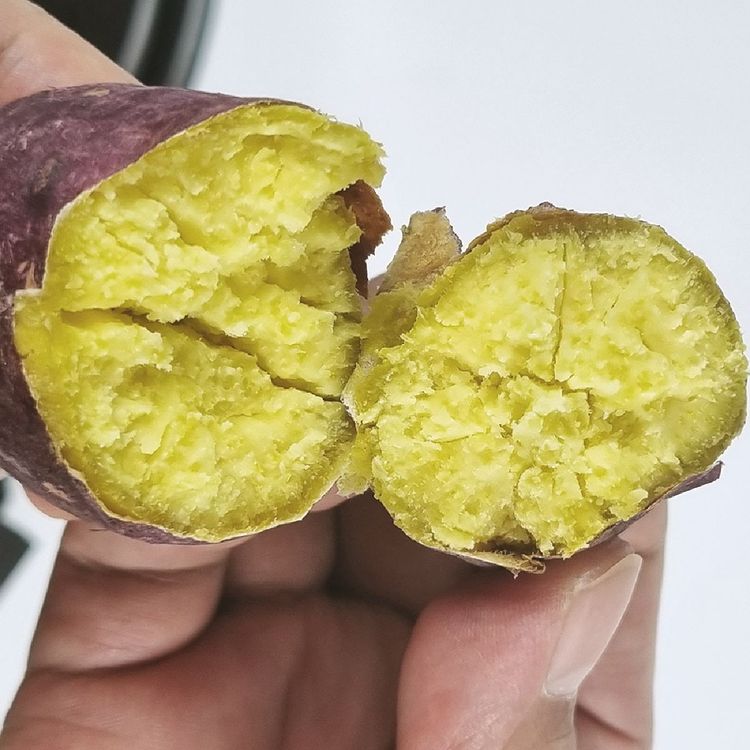 자연식탁 산지직송 24년 전라도 황토 꿀밤고구마 퍽퍽한 햇 밤고구마 한입 2kg비세척 홈플러스 택배배송